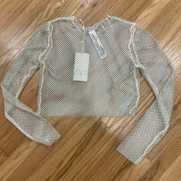 Zara | Tops | Zara Shimmer Mesh Crop Top | Poshmark